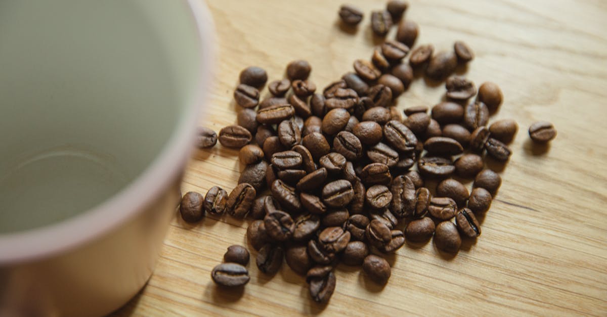 Comment réussir à préparer un café parfait avec une cafetière à piston ...